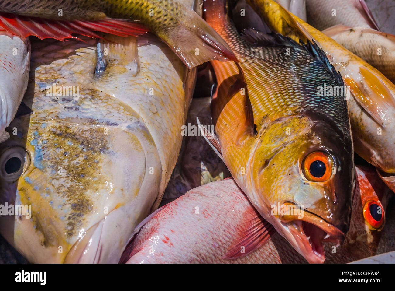 Madagascar diego suarez market hi-res stock photography and images - Alamy