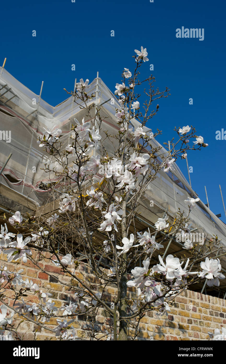 The construction of a new theatre arts skills centre at the Royal Opera ...
