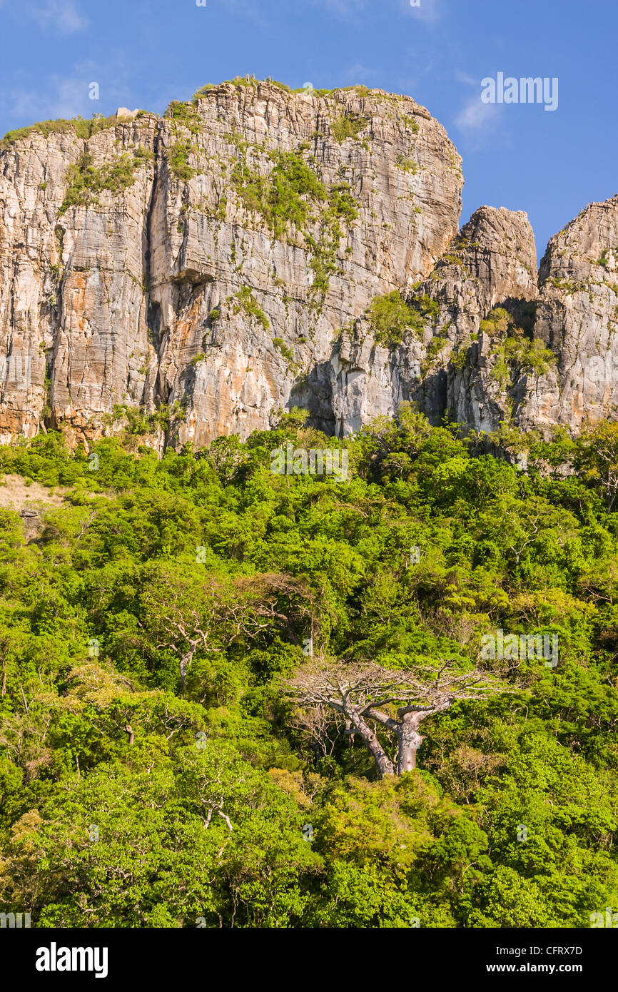 Humid subtropical climate hi-res stock photography and images - Alamy