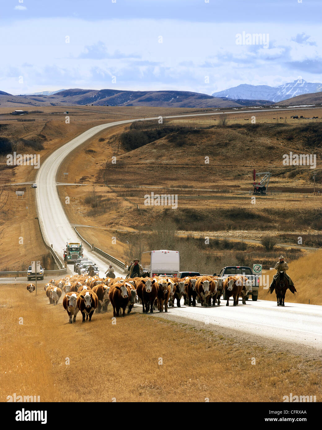 Longview mountain hi-res stock photography and images - Alamy
