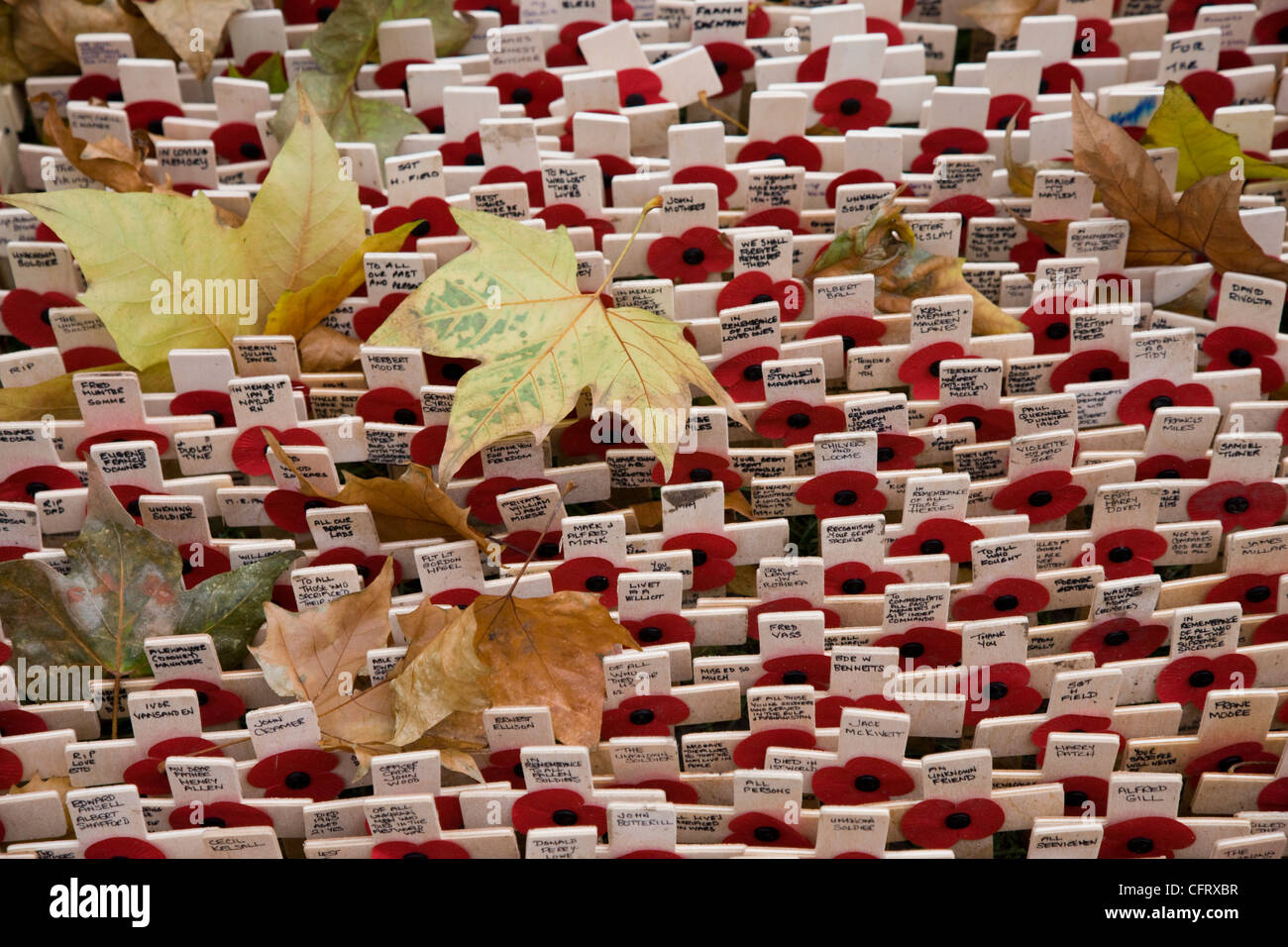 Falling poppies hi-res stock photography and images - Alamy