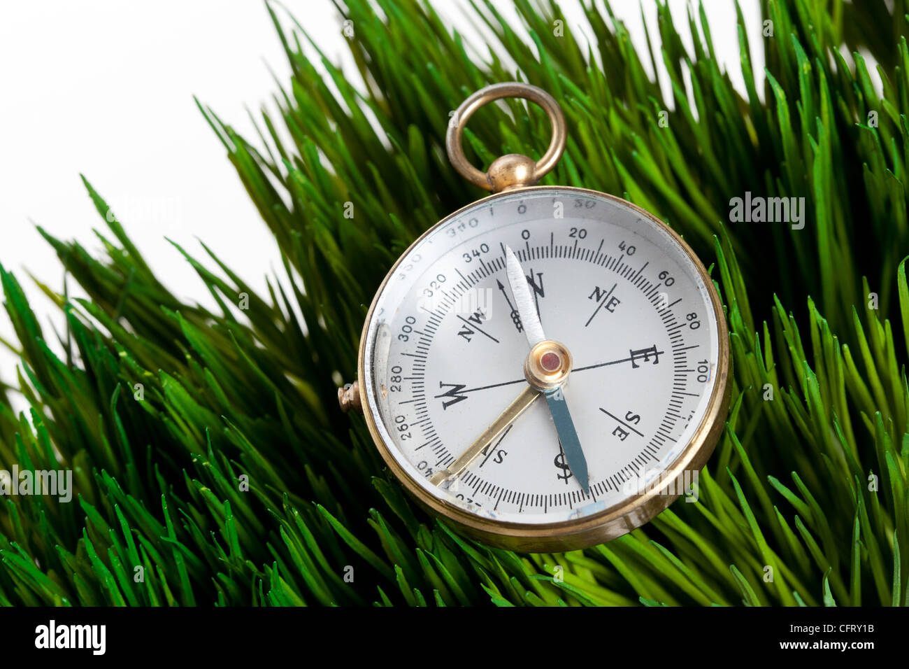 Compass and Green Grass close up Stock Photo - Alamy