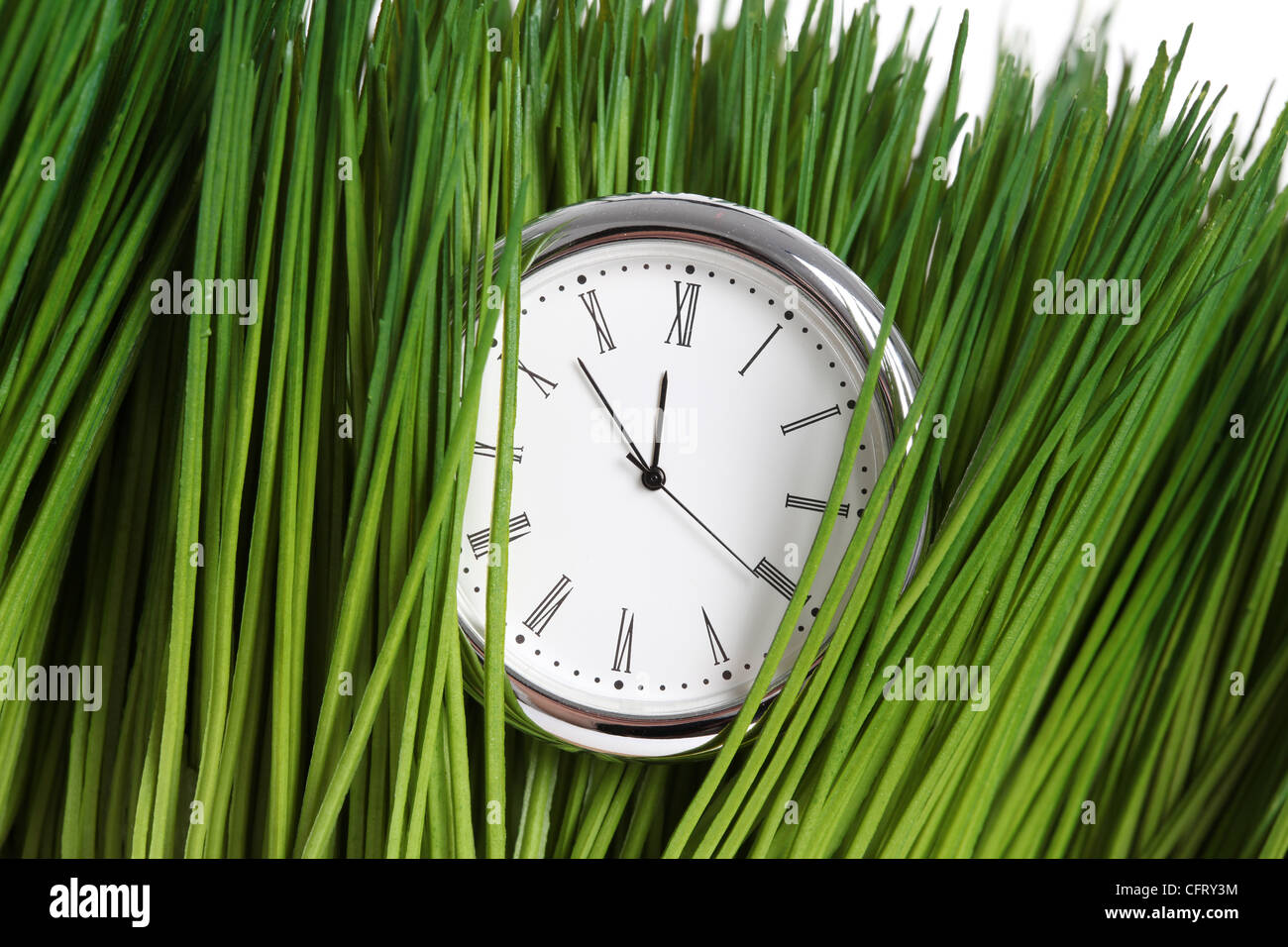 Grass Clock High Resolution Stock Photography and Images - Alamy