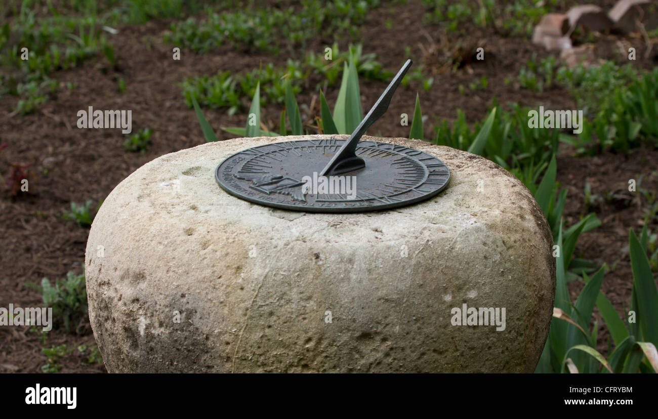 Sundial flower hi-res stock photography and images - Alamy