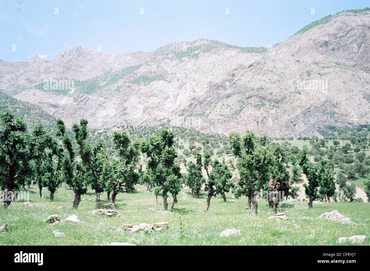 The PKK-controlled area of Kurdish northern Iraq, near Qandil mountain ...