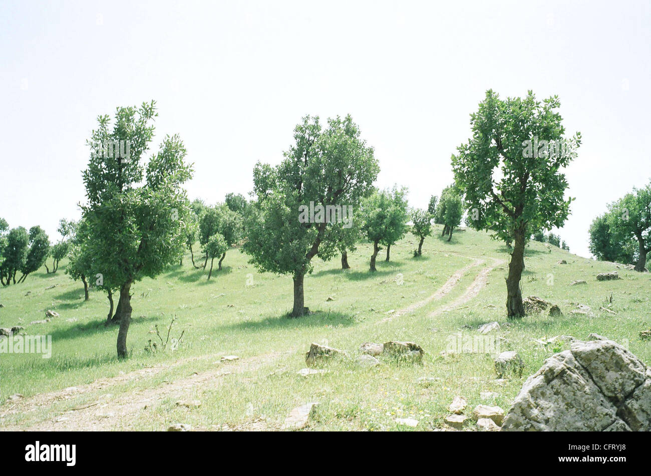 Qandil mountain hi-res stock photography and images - Alamy