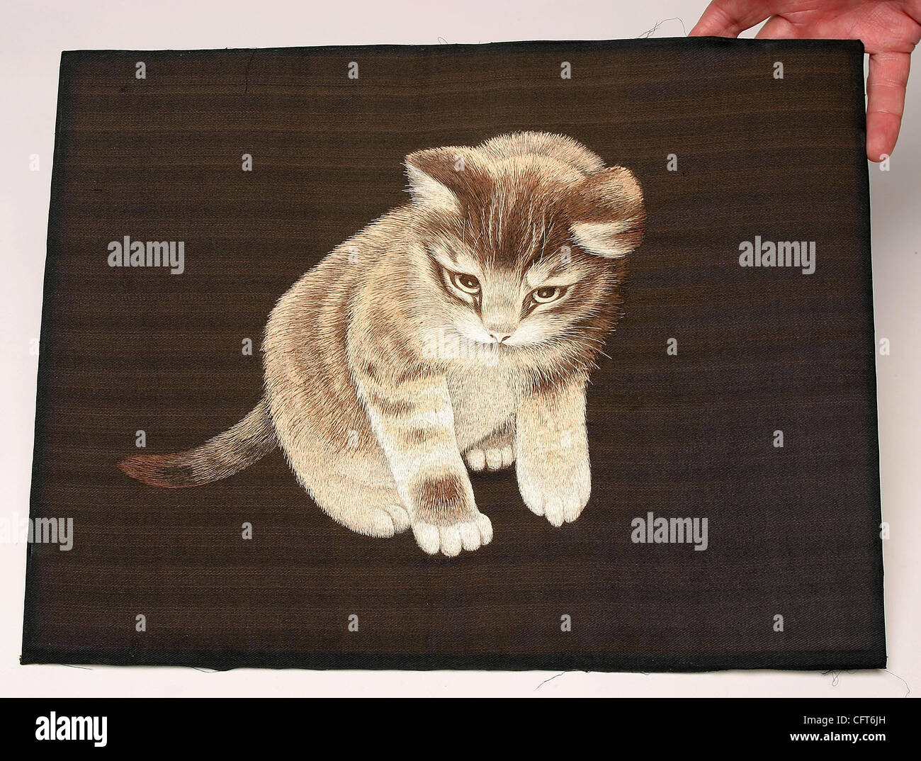 121106 hi-res stock photography and images - Alamy