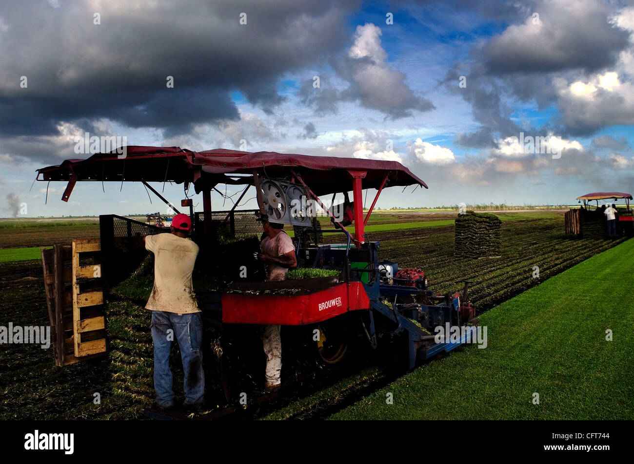 King ranch hi-res stock photography and images - Alamy