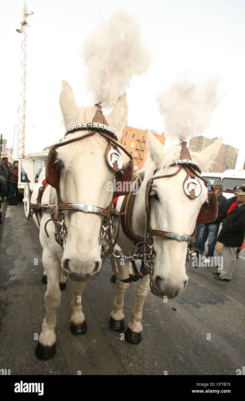 Dec 28, 2006; New York, NY, USA; A view of the Horse-Drawn Carriage ...