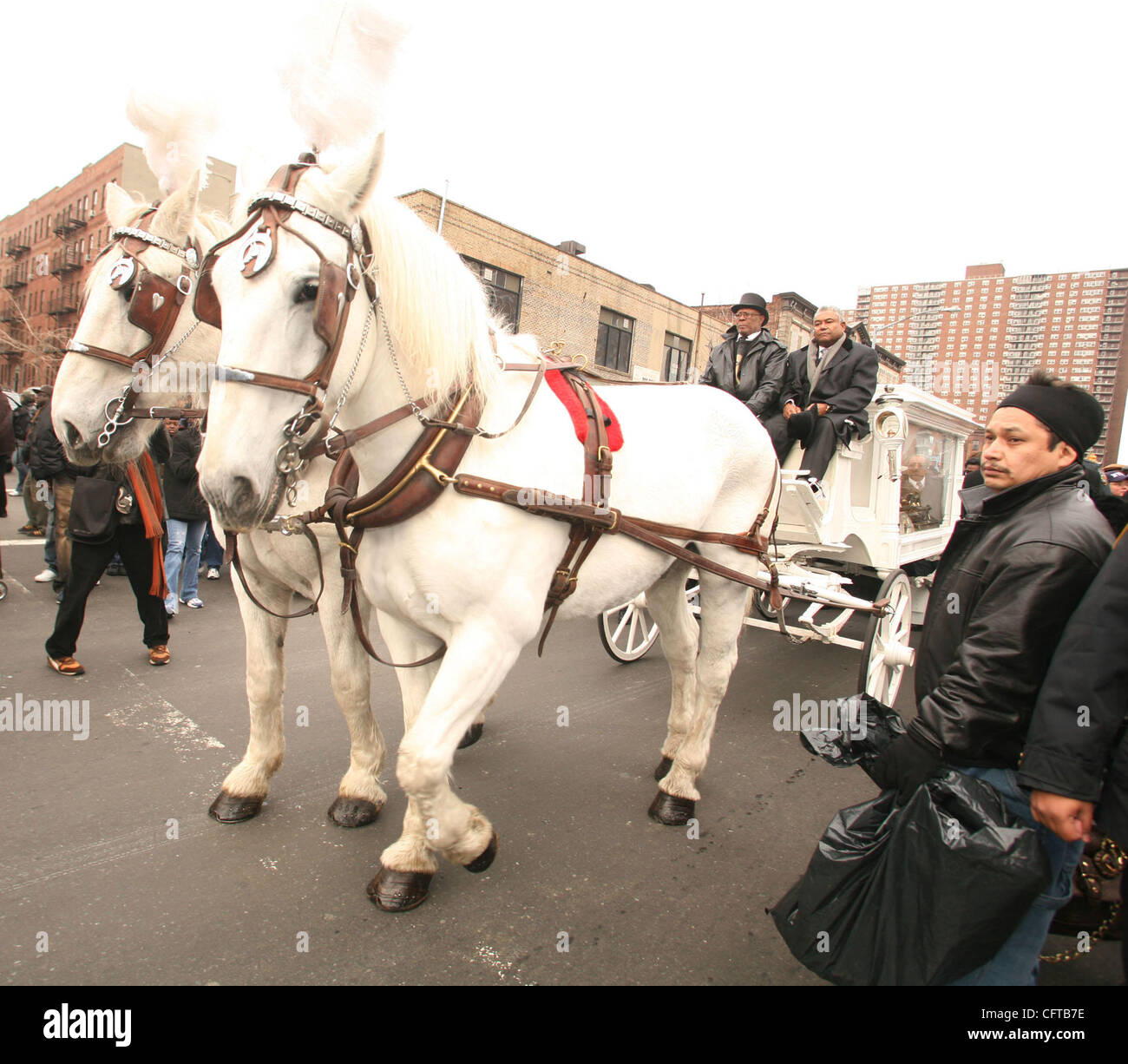 Dec 28, 2006; New York, NY, USA; A view of the Horse-Drawn Carriage ...
