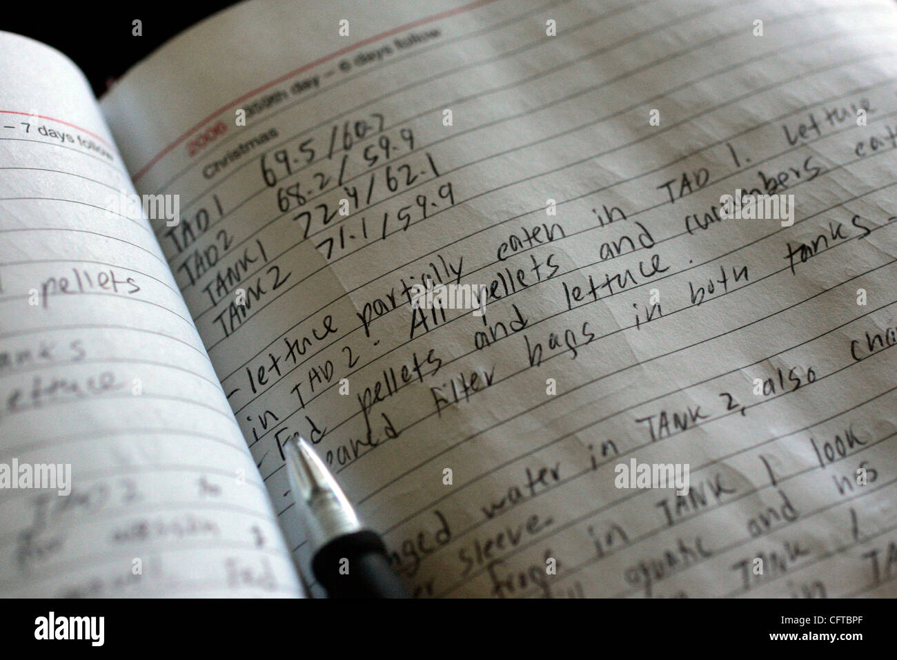 January 2, 2007 , San Diego,- Herpetologist JEFF LEMM, who works at the ...