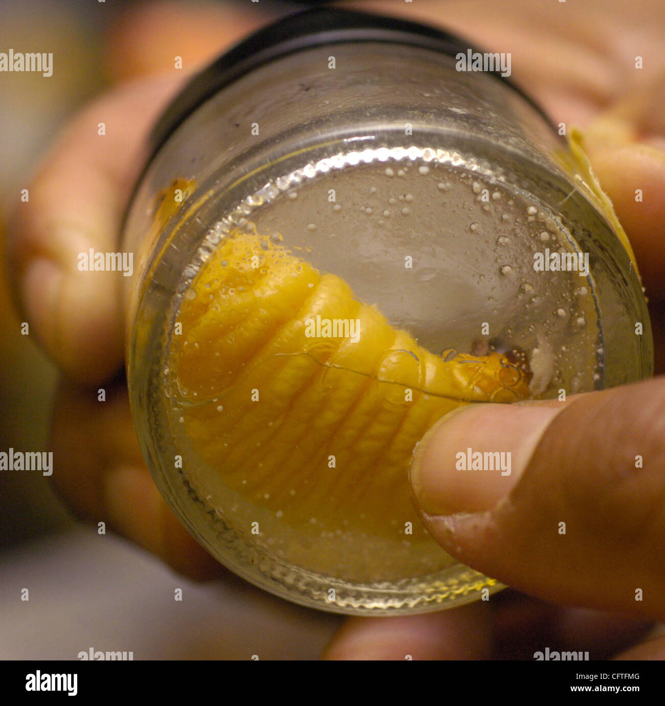 Bug hall hi-res stock photography and images - Alamy