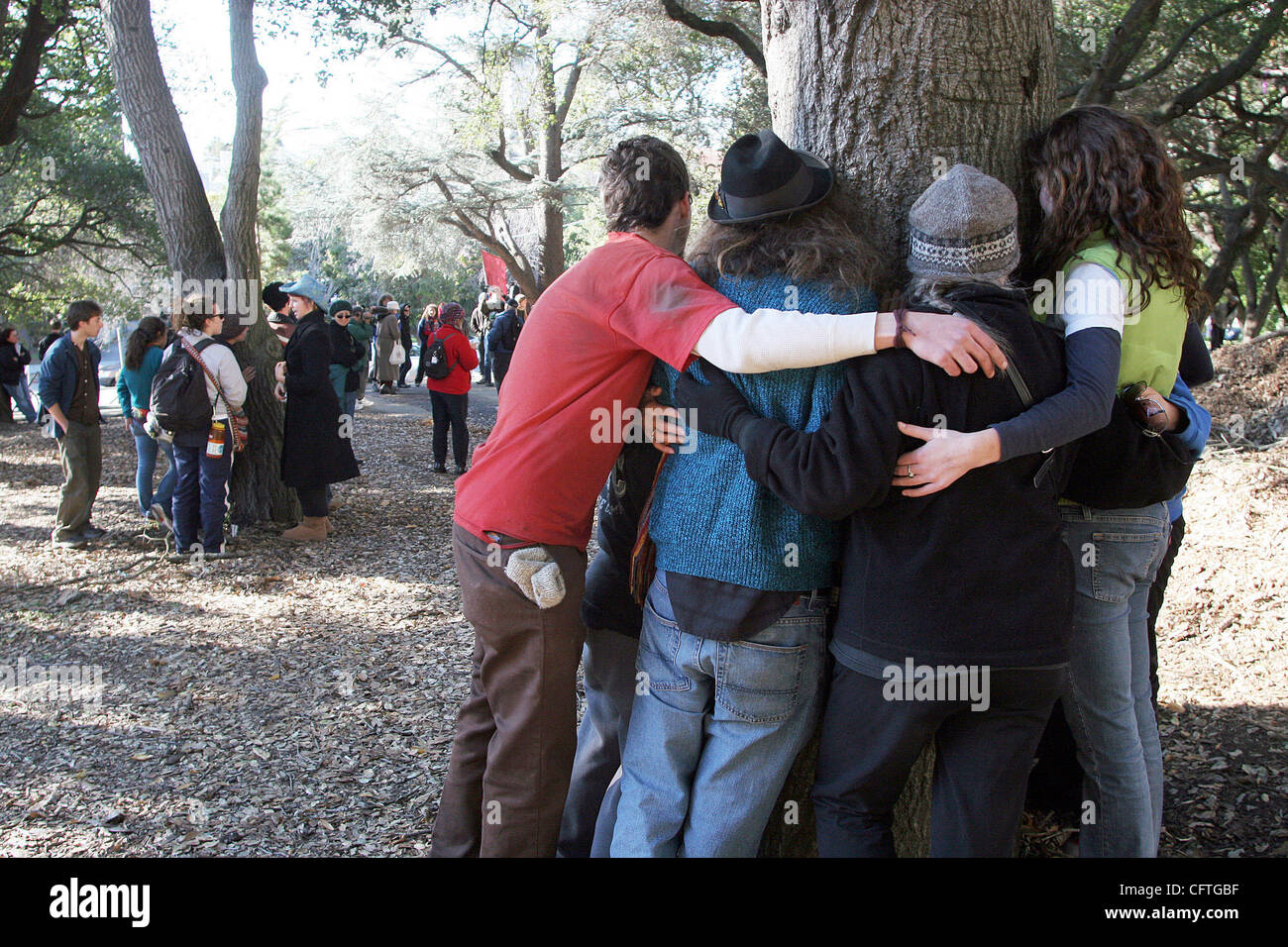 Supporters of the large Oak trees in front of Memorial Stadium give the ...