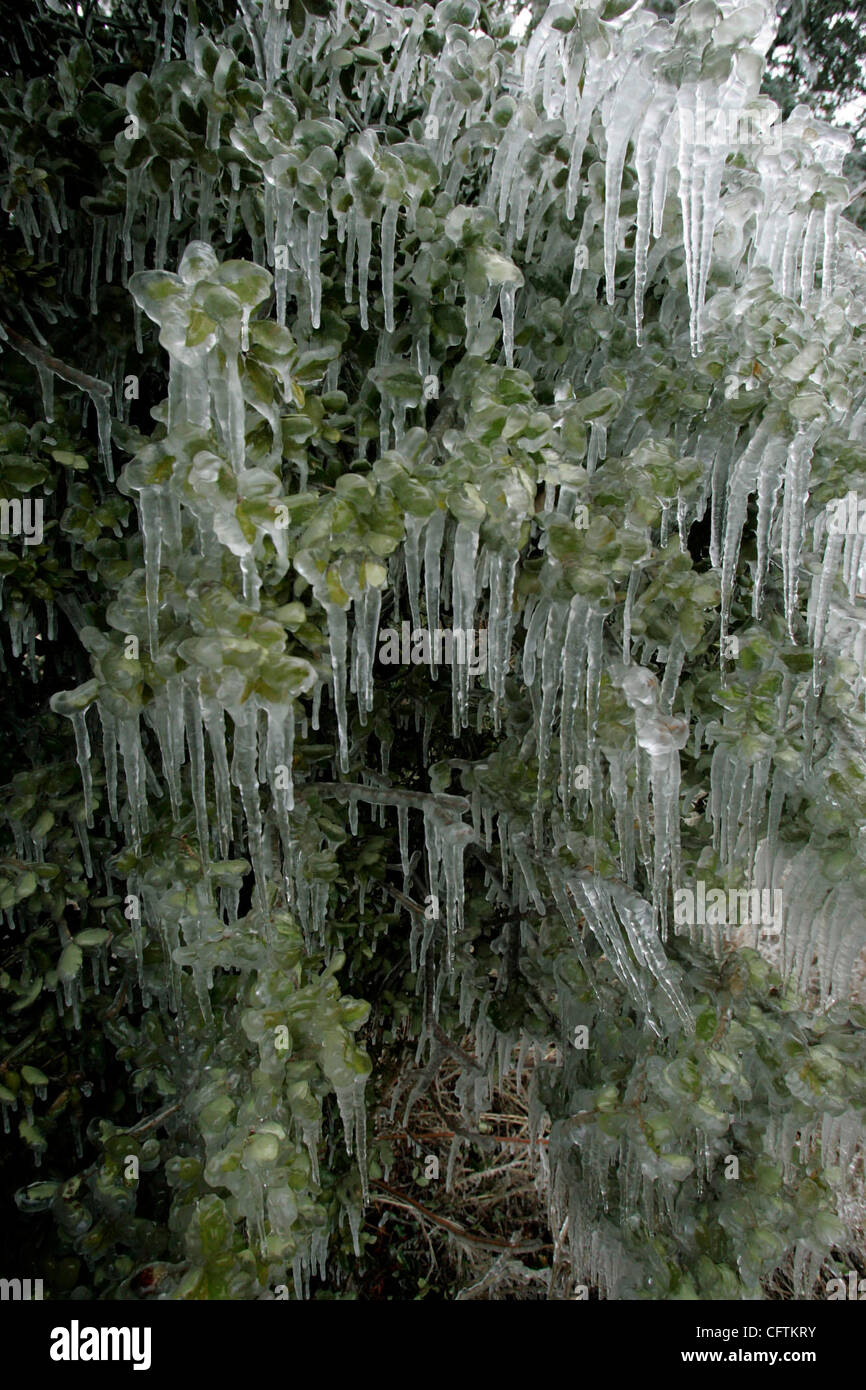 METRO -Ice covers the hill country landscape after a water main broke ...