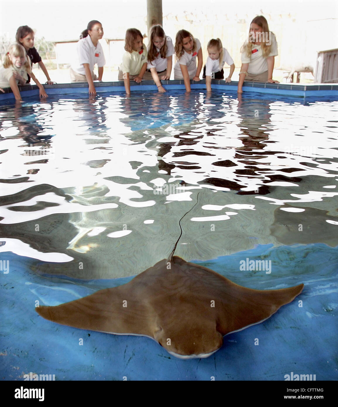 Stingrays florida hi-res stock photography and images - Alamy