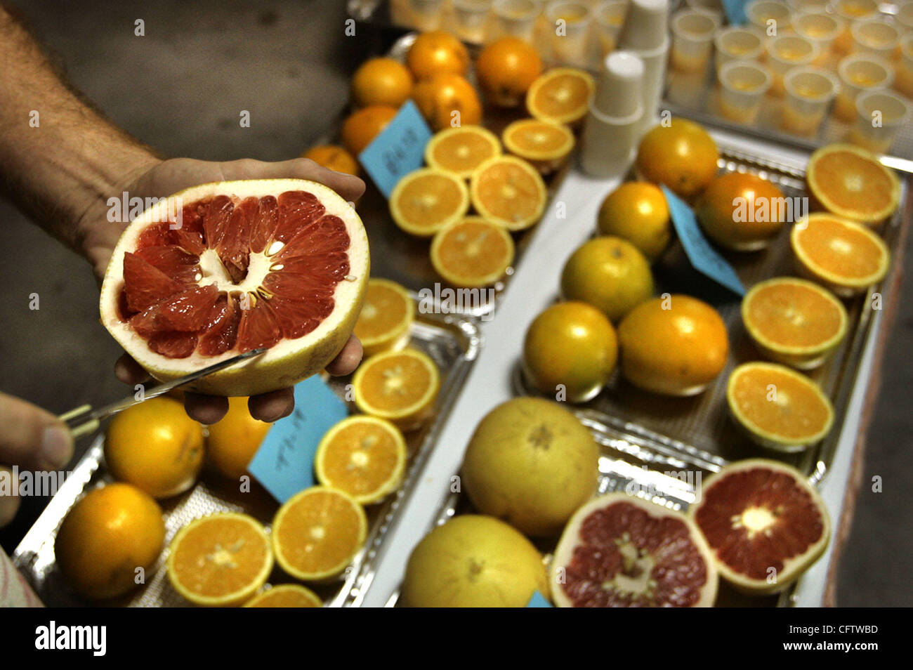The david florida laboratory hi-res stock photography and images - Alamy