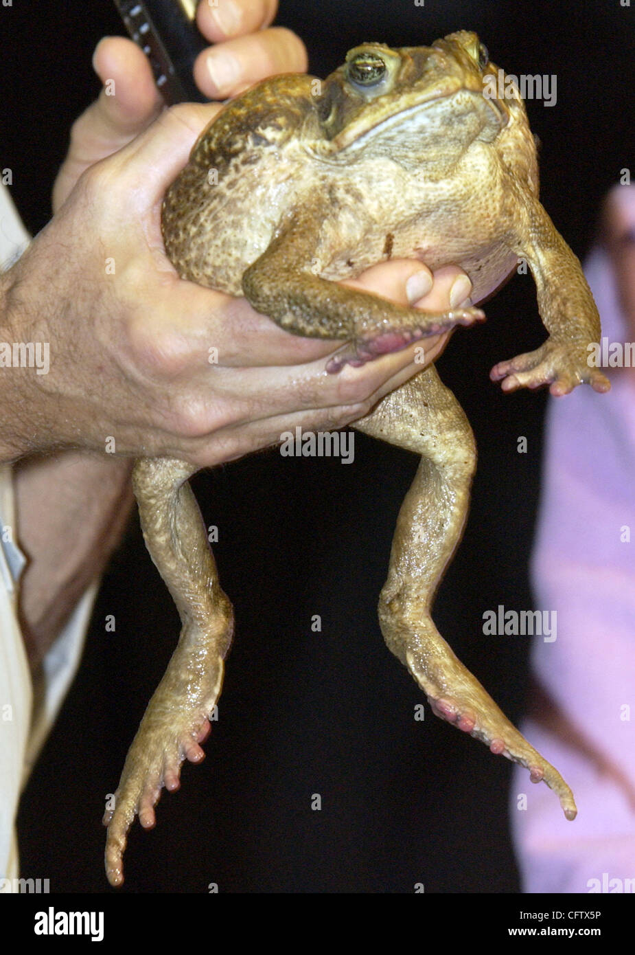 Jack hanna columbus zoo hi-res stock photography and images - Alamy