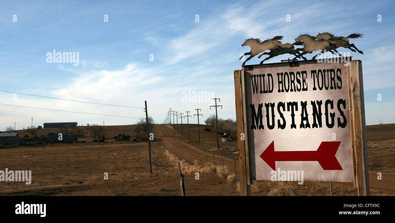 TOM WALLACE • twallace@startribune.com 012407 mustang0211.#108581 Karen ...