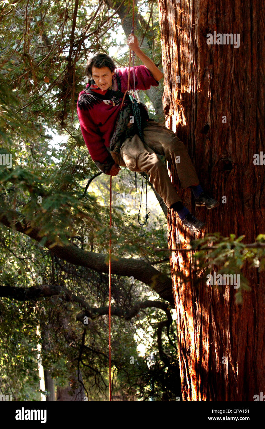 Zachary Running Wolf, who says he has been sitting in a redwood tree ...