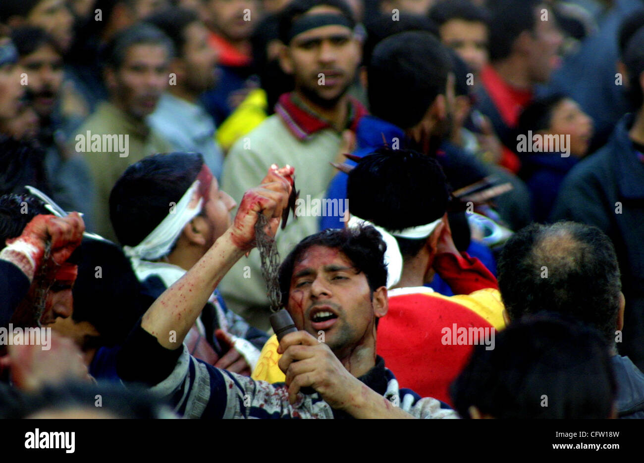 Kashmiri Shiite Muslim perfoming the ritual of "Tatbir" by slicing his ...