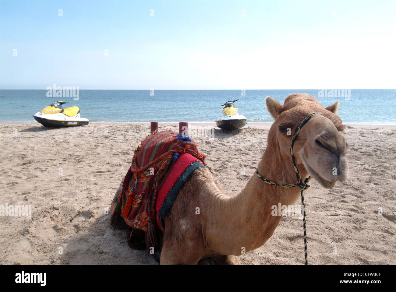 28 6 2007 hi-res stock photography and images - Alamy