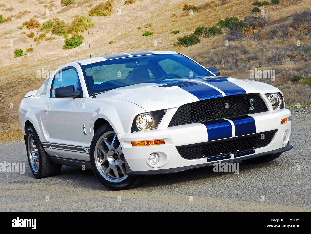 Left side beauty portrait 2007 Ford Shelby GT500 Mustang Cobra Coupe ...