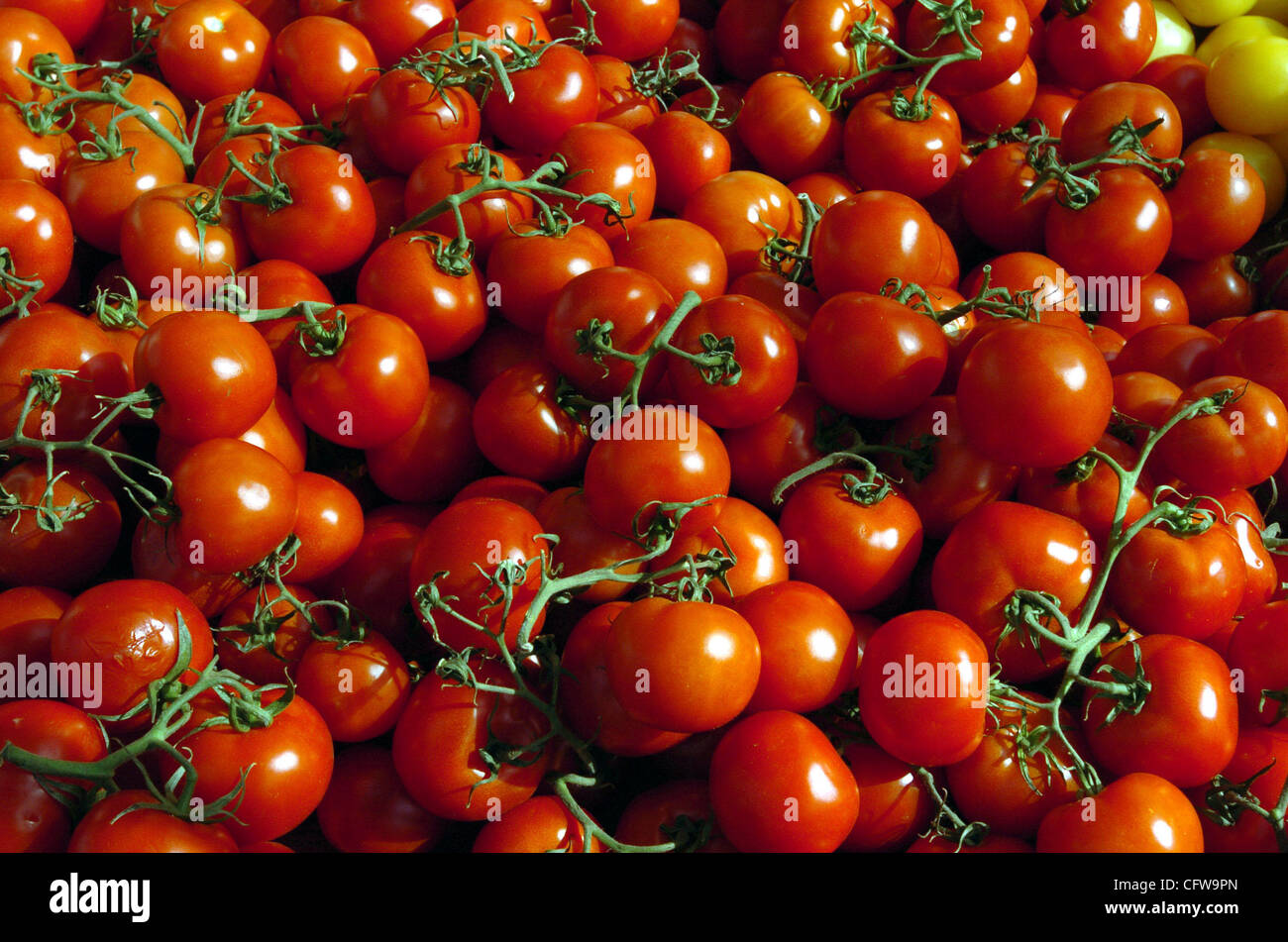 Vlad and Jane Shapiro, who will be the new owners of a new business in ...