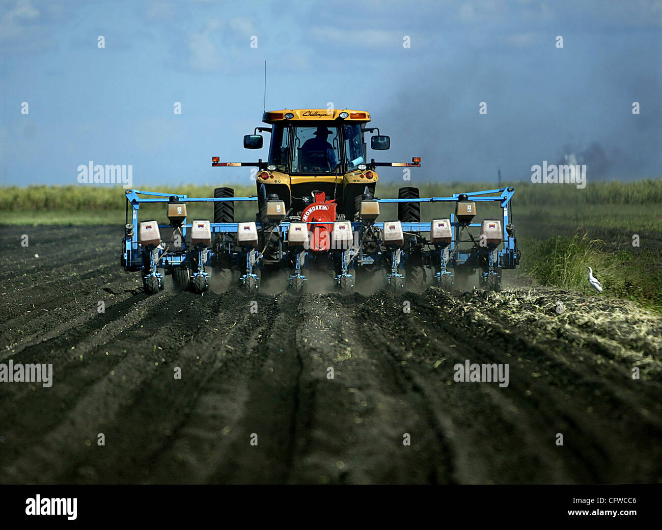 02192007 biz planting Staff Photo by Damon Higgins/The Palm Beach Post ...