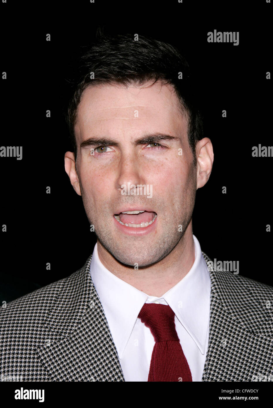 Feb 21, 2007; Hollywood, California, USA; at the Global Green 3rd ...