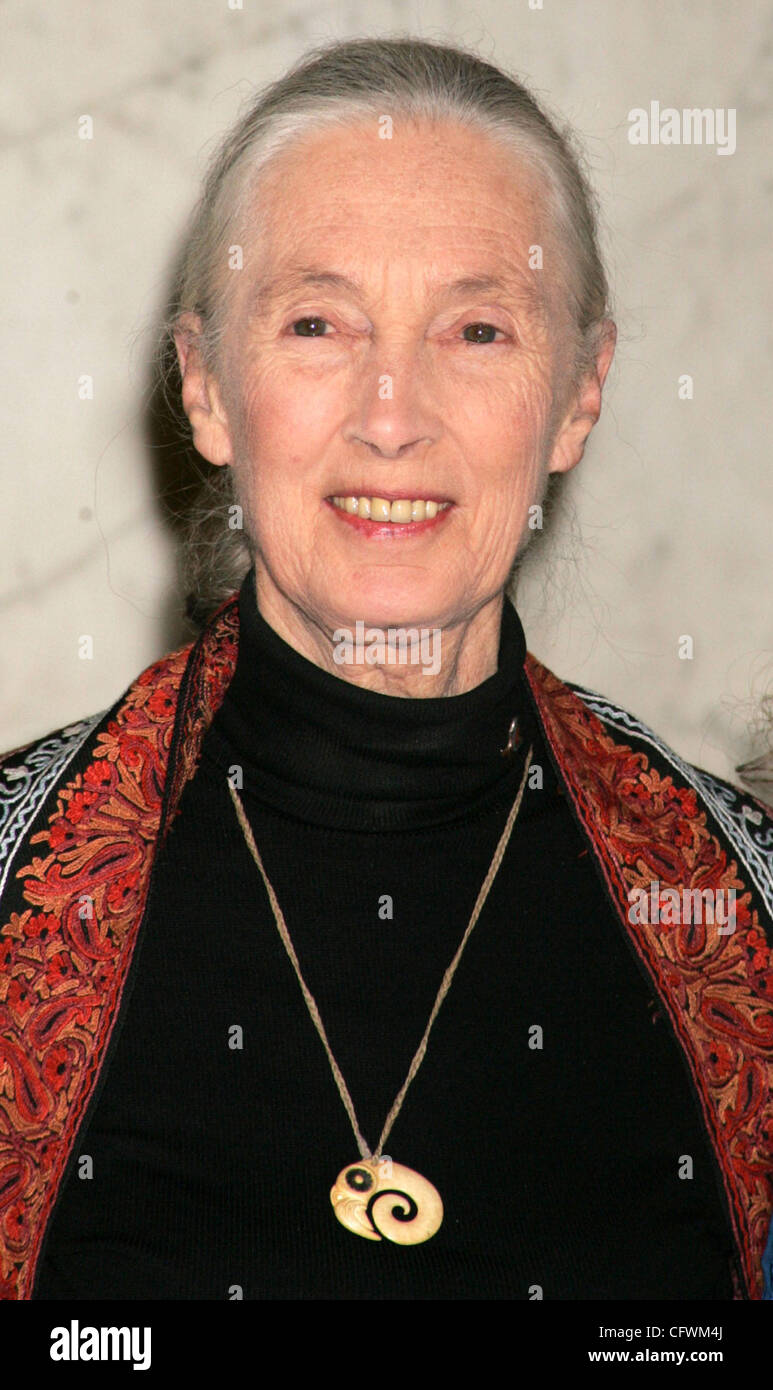 Mar 01, 2007; New York, NY, USA; Primatologist DR. JANE GOODALL at the ...