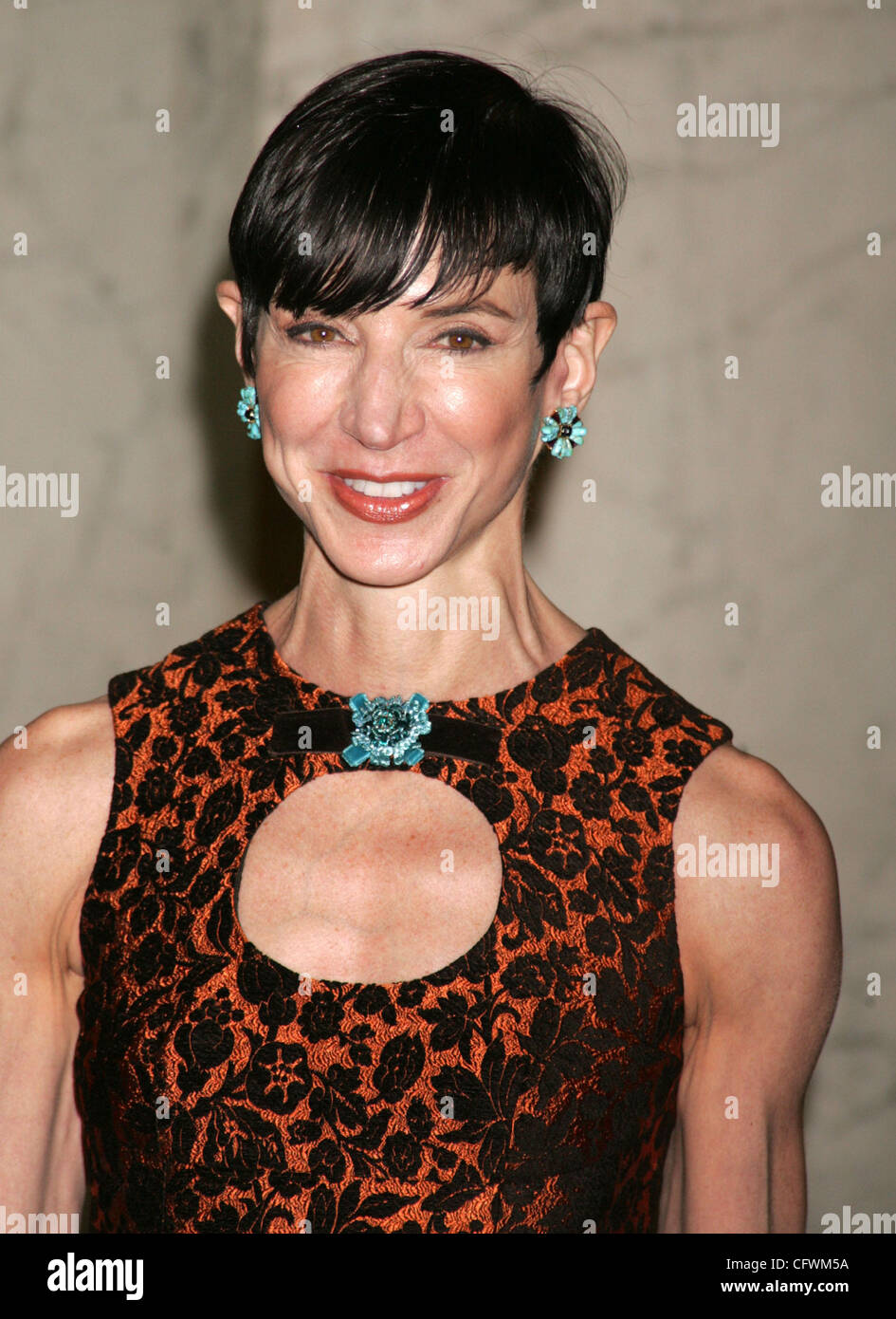 Mar 01, 2007; New York, NY, USA; Actress AMY FINE COLLINS at the 2007 ...