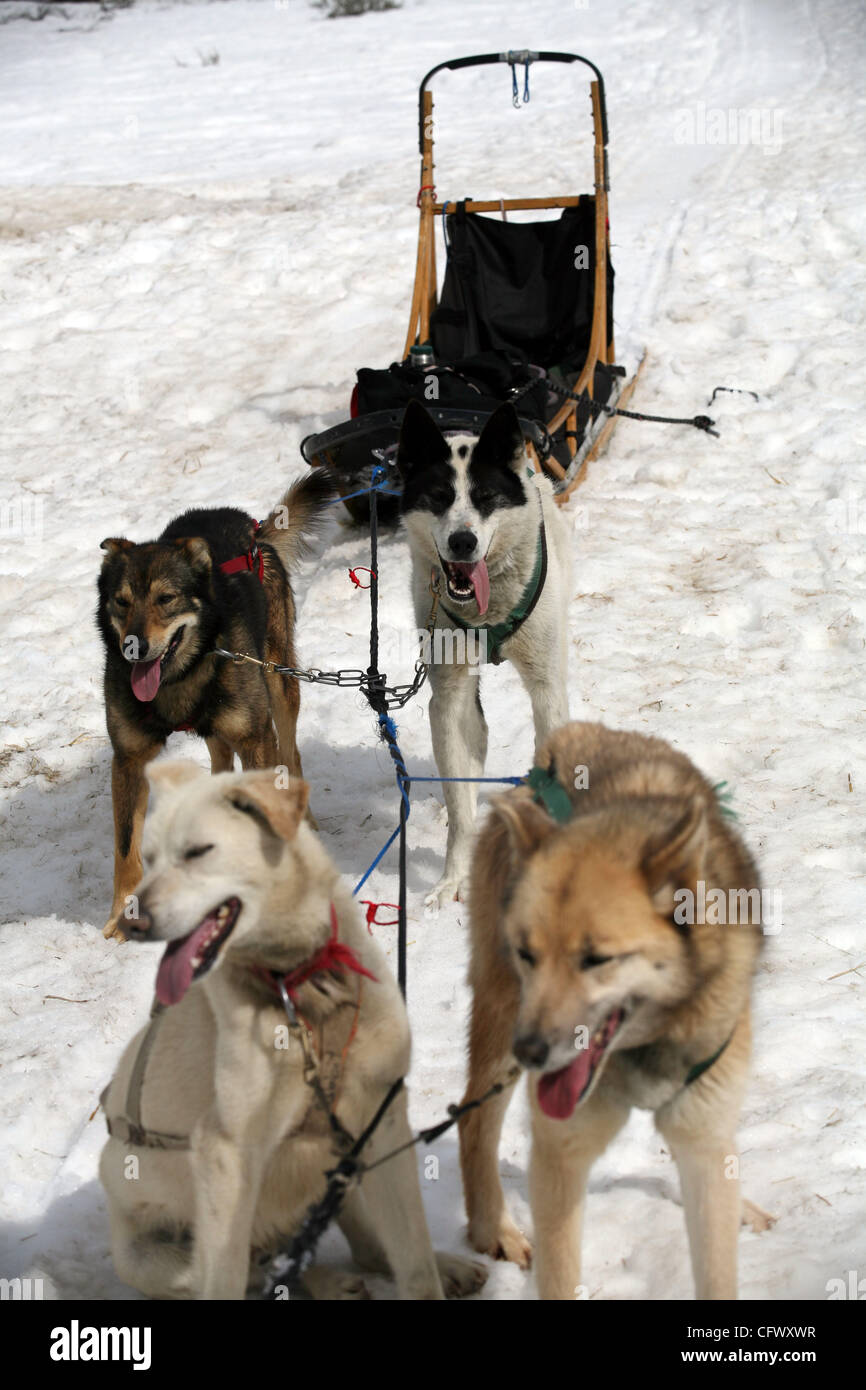 Mar 13, 2007 - Jackson Hole, WY, USA - Our partners are 170 authentic ...