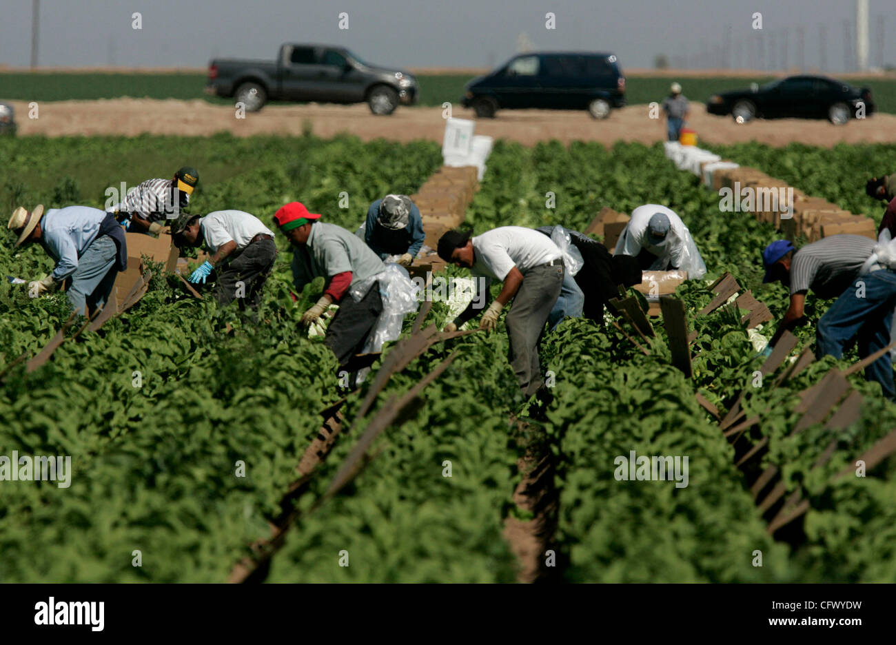 Holtville hi-res stock photography and images - Alamy