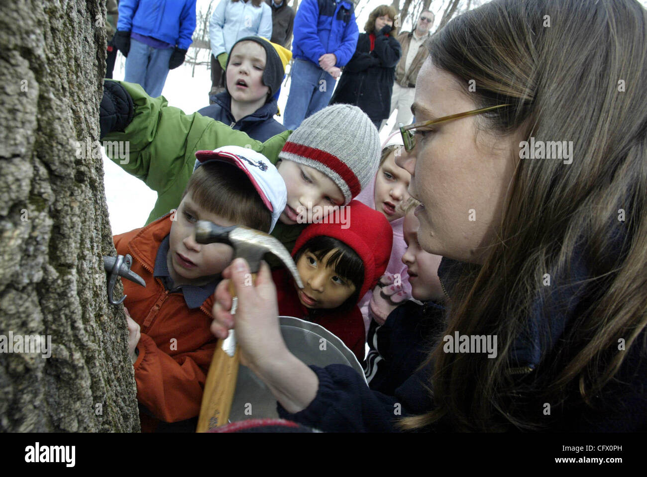 Maple syruping hi-res stock photography and images - Alamy