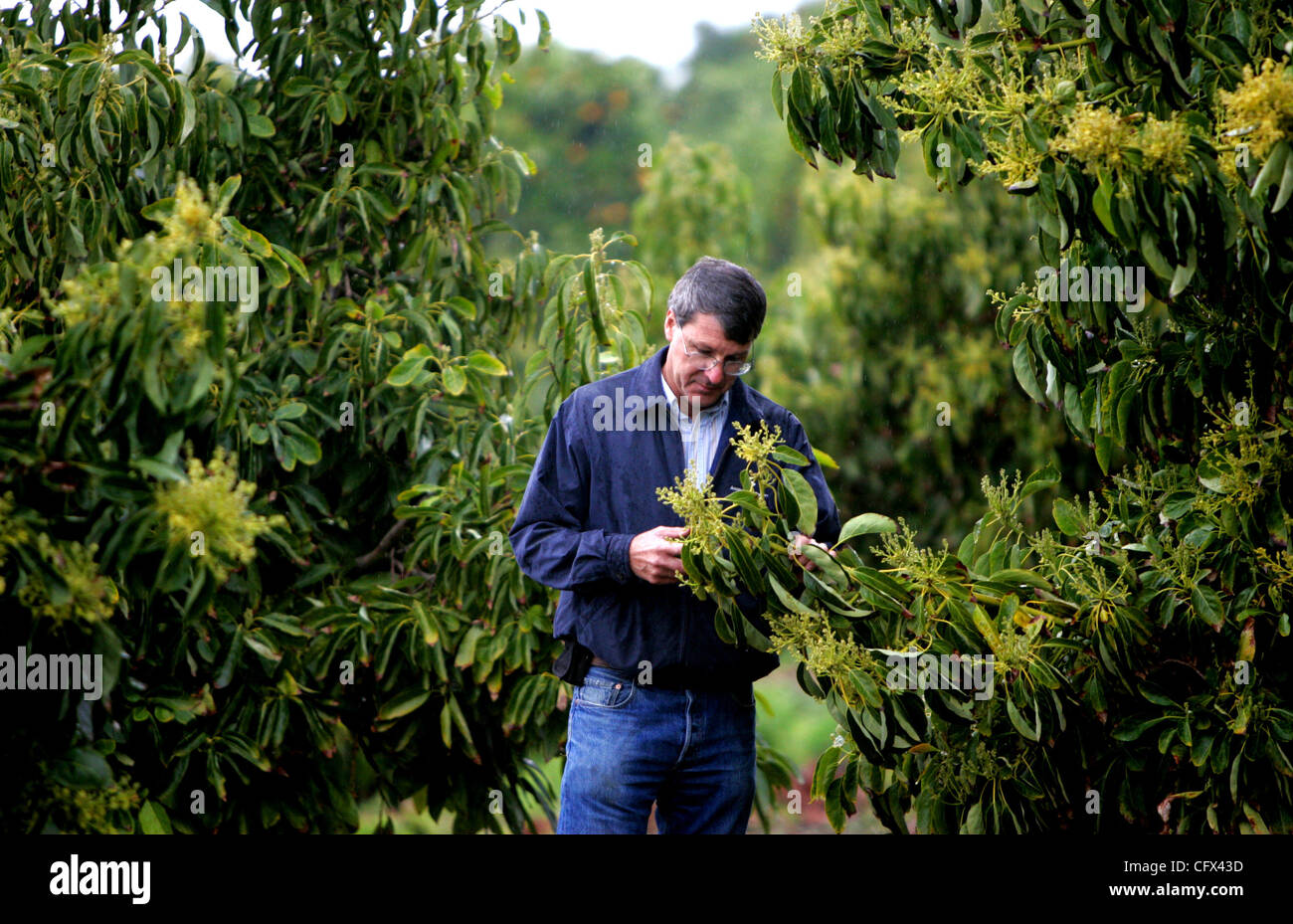 March 21, 2007, Pauma Valley, California, USA Al Stehly walks through ...