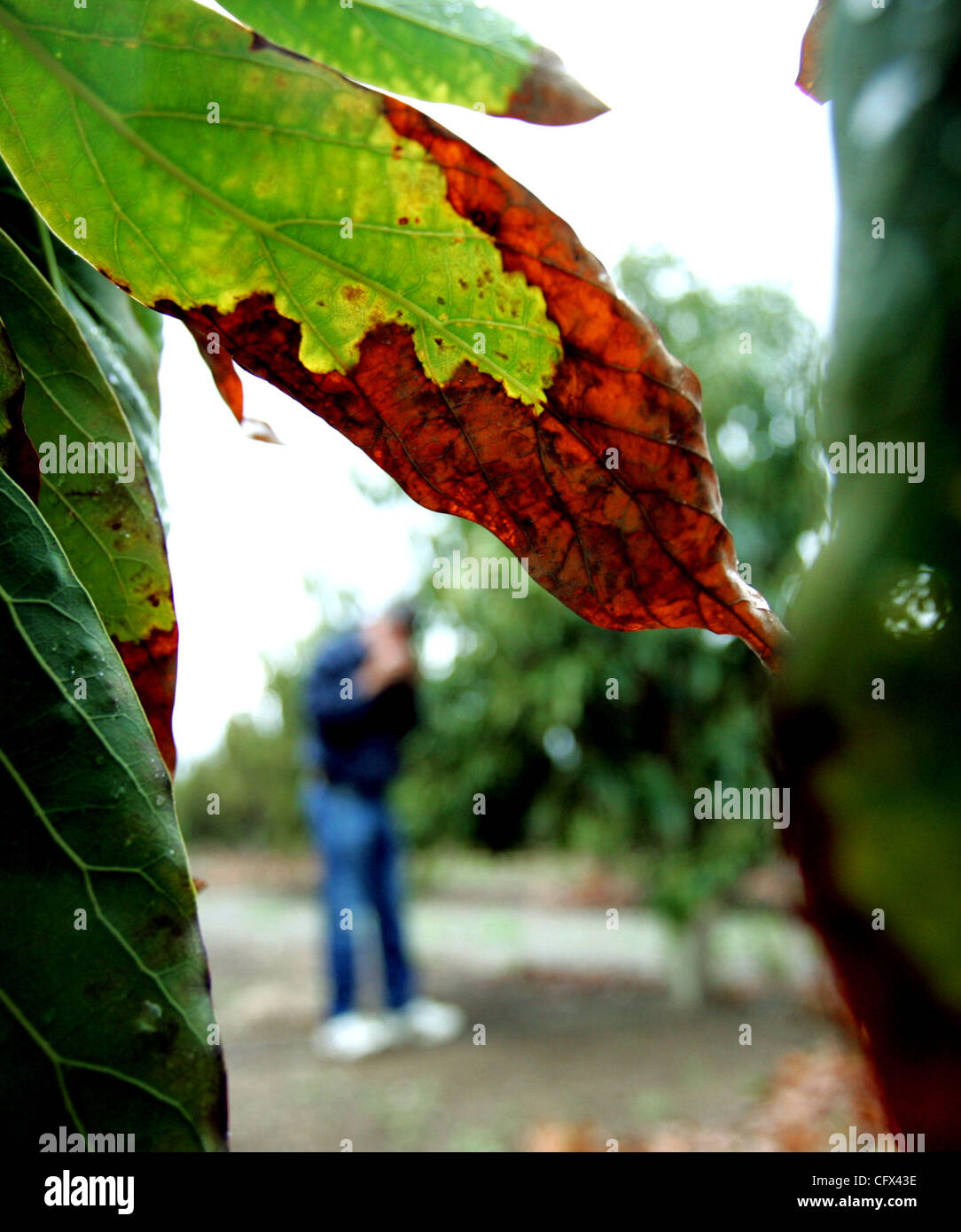 March 21, 2007, Pauma Valley, California, USA Al Stehly walks through ...