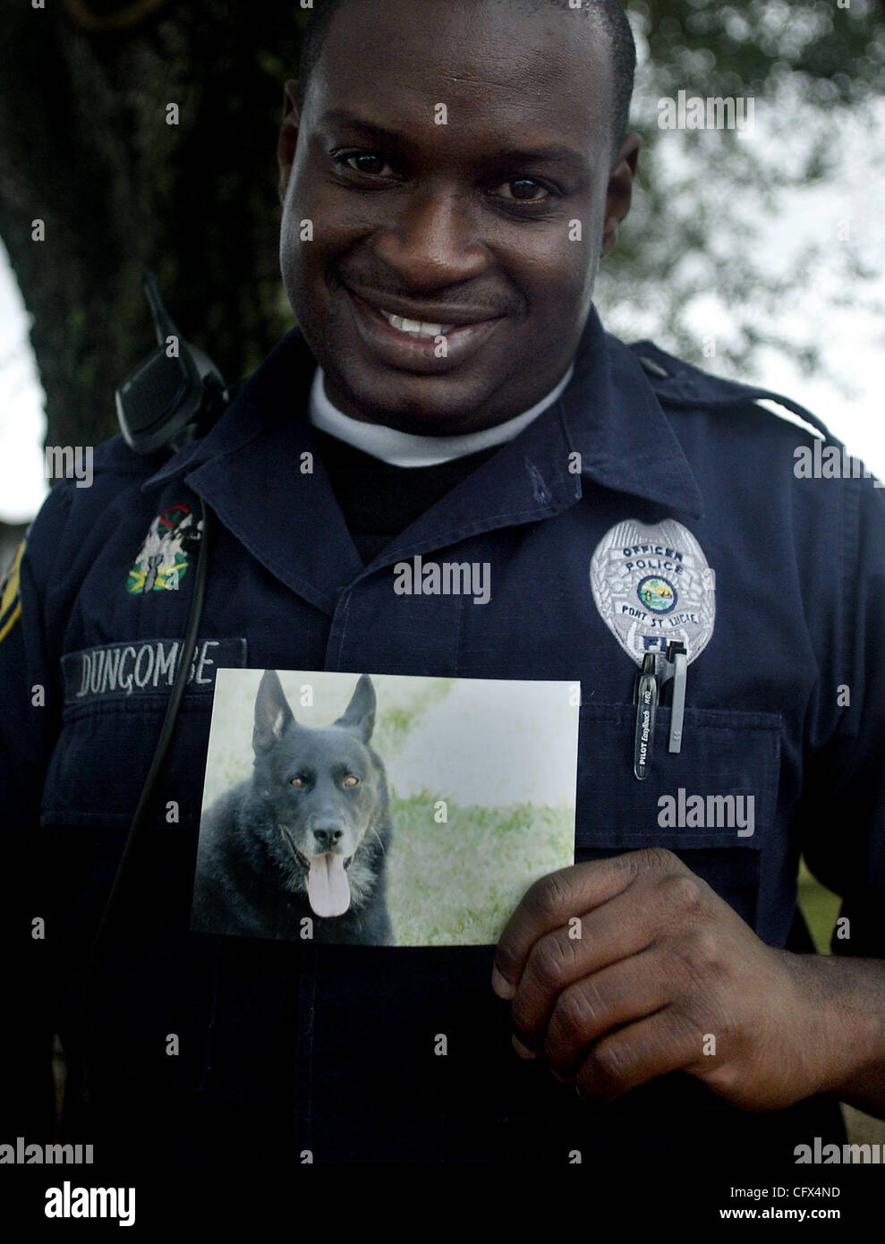 The duncombe dog hi-res stock photography and images - Alamy