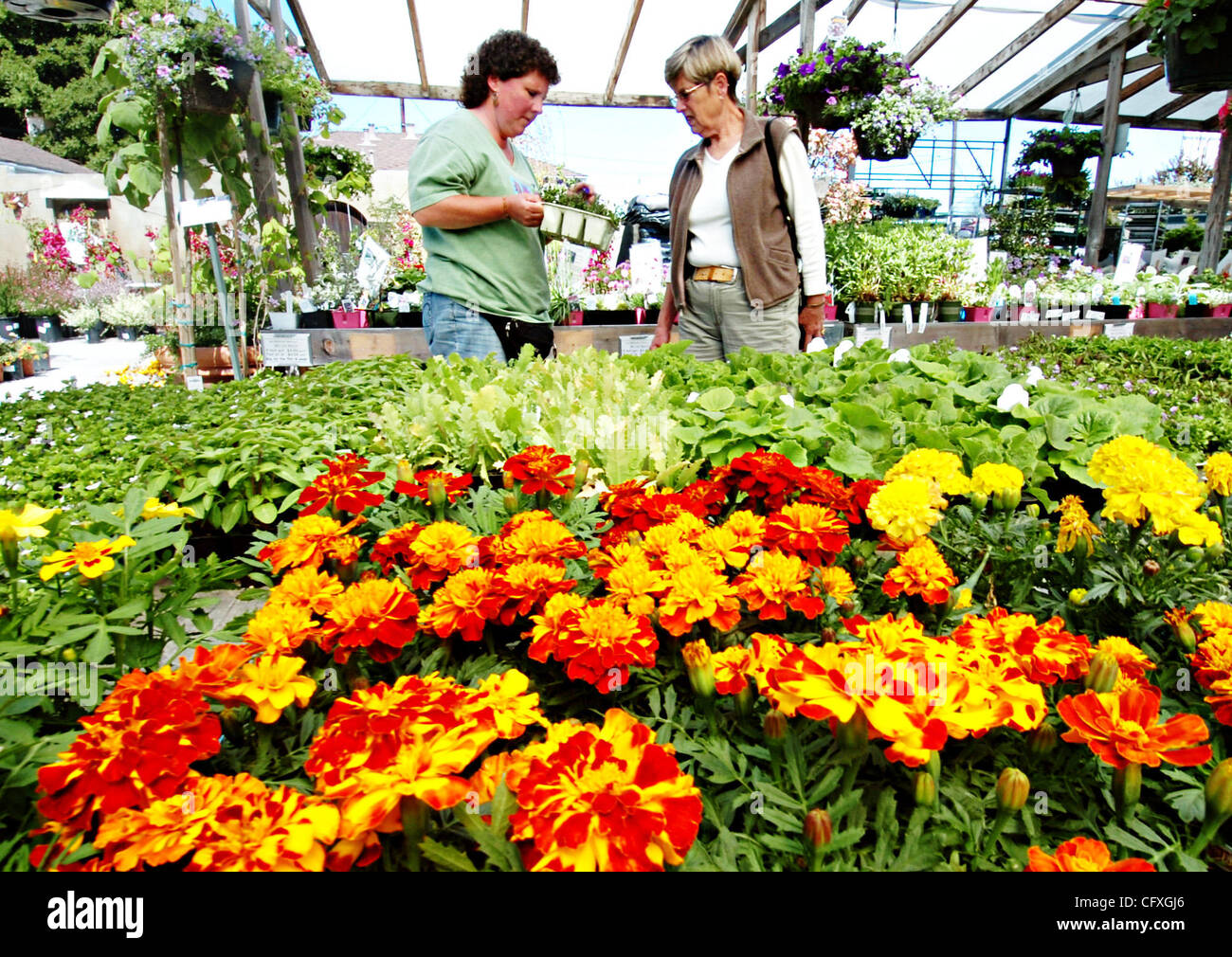 Wydler hi-res stock photography and images - Alamy