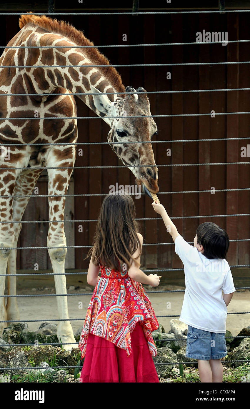 Animal displays hi-res stock photography and images - Alamy