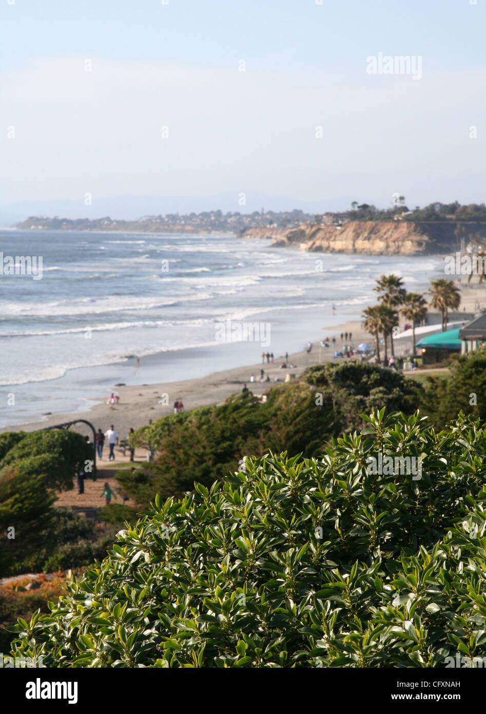 Del mar surfers hi-res stock photography and images - Alamy