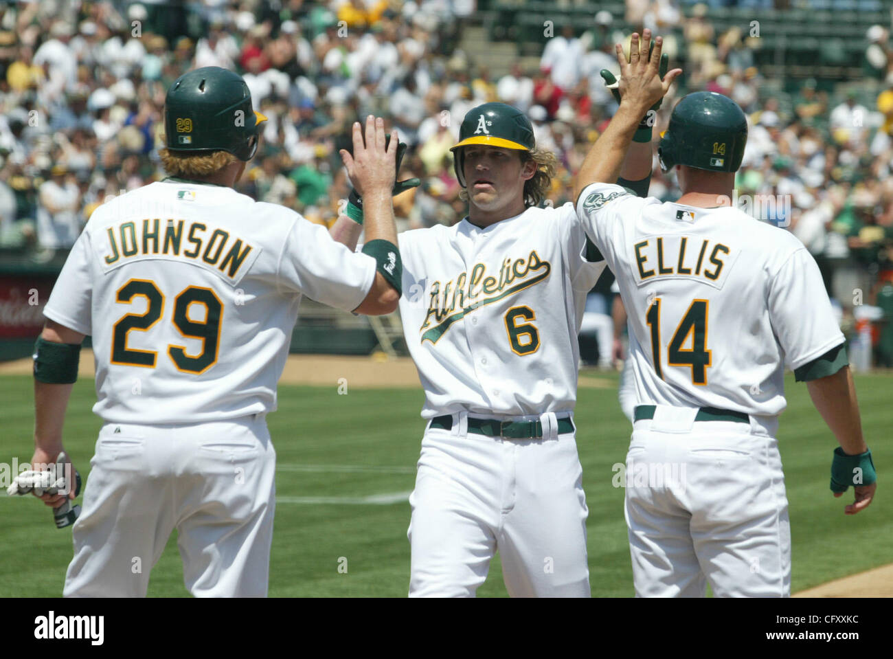 Tampa bay devil rays hi-res stock photography and images - Alamy