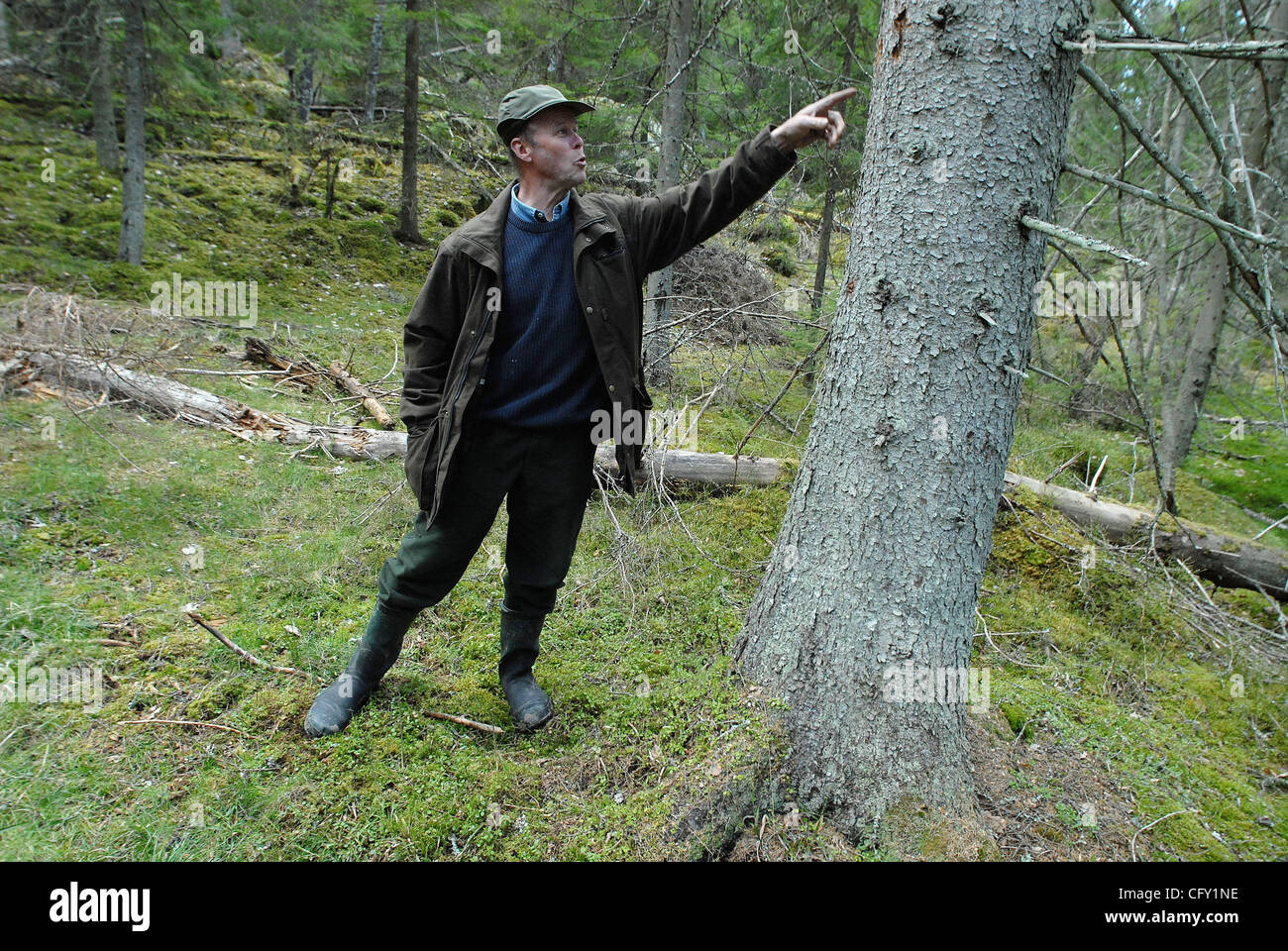 Gˆran Samuelsson, 62, and his sons operate a farm in the Swedish hamlet ...
