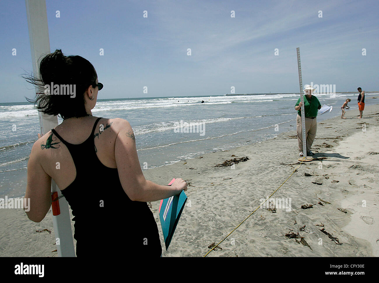 California grunion leuresthes tenuis hi-res stock photography and ...