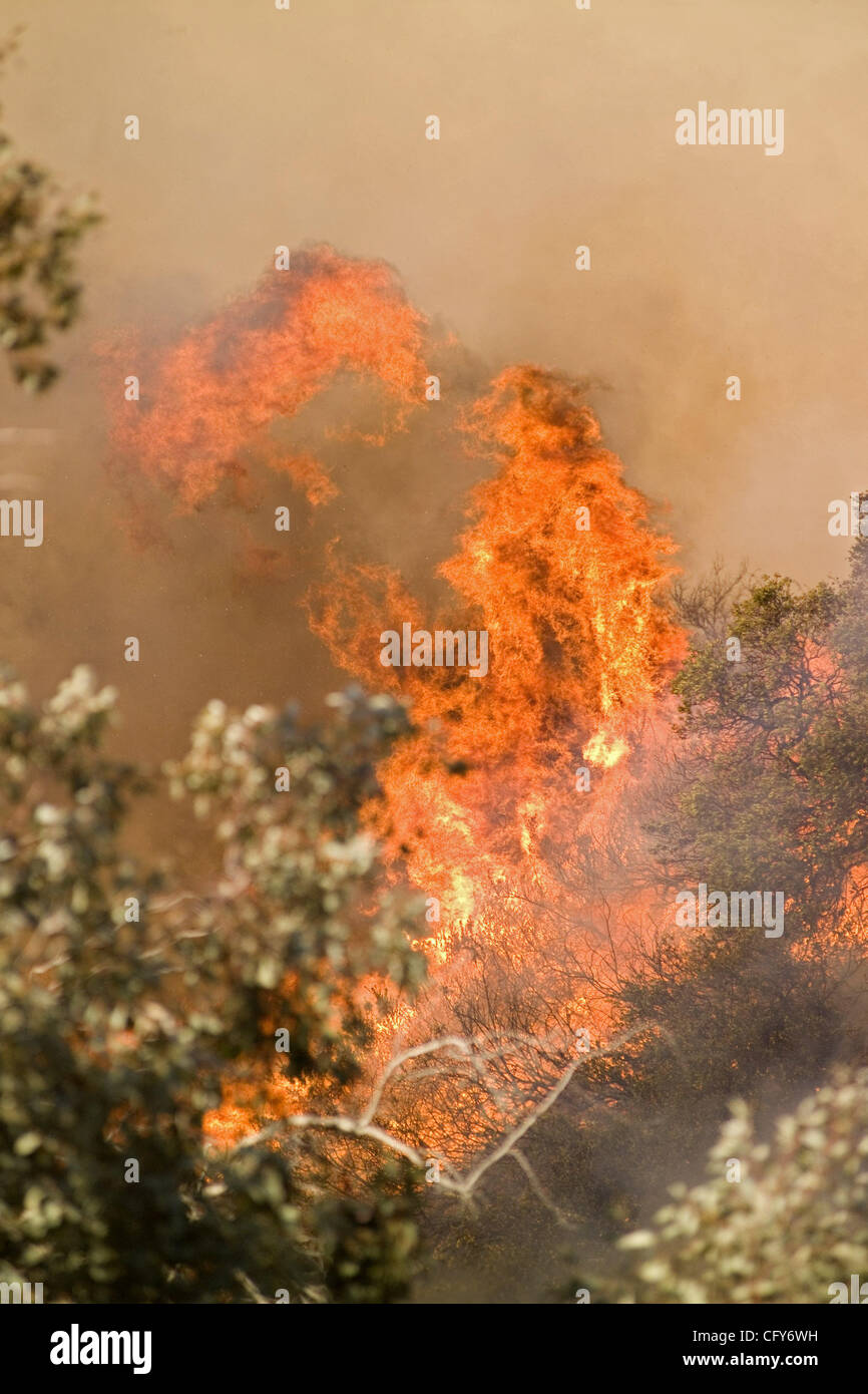 A brush fire gets out of control in Griffith Park, Los Angeles ...