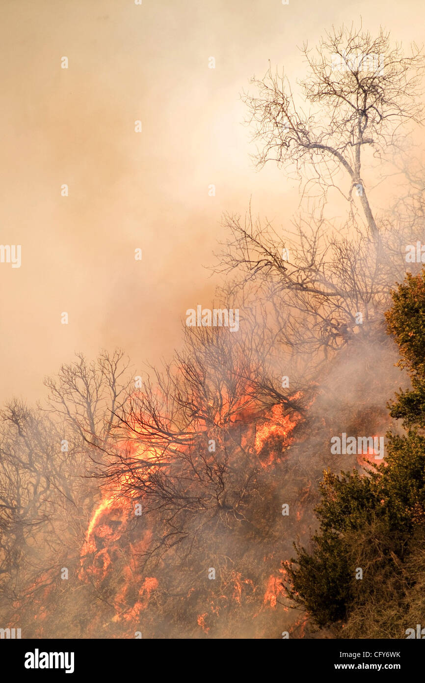 A brush fire gets out of control in Griffith Park, Los Angeles ...