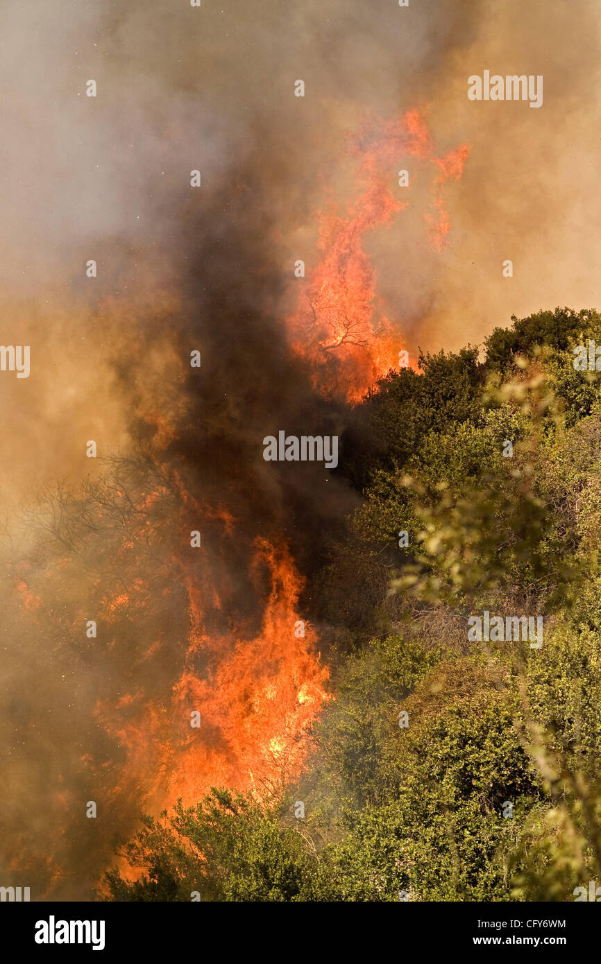 A brush fire gets out of control in Griffith Park, Los Angeles ...