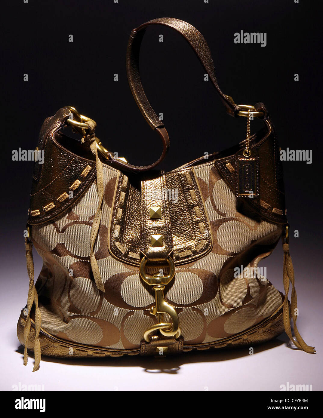 Small Coach Handbags