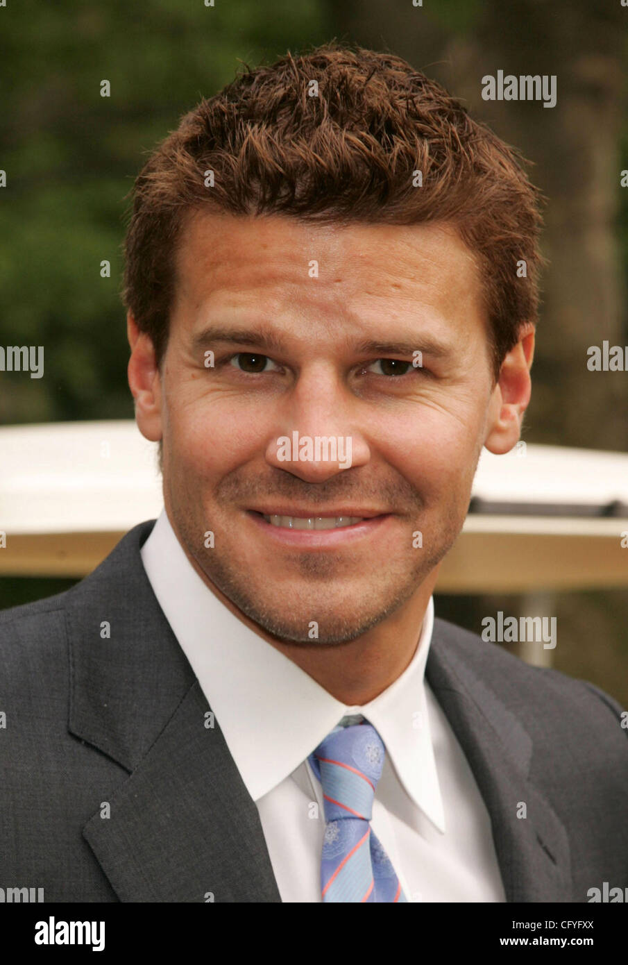 May 17, 2007 - New York, NY, USA - Actor DAVID BOREANAZ at the arrivals ...