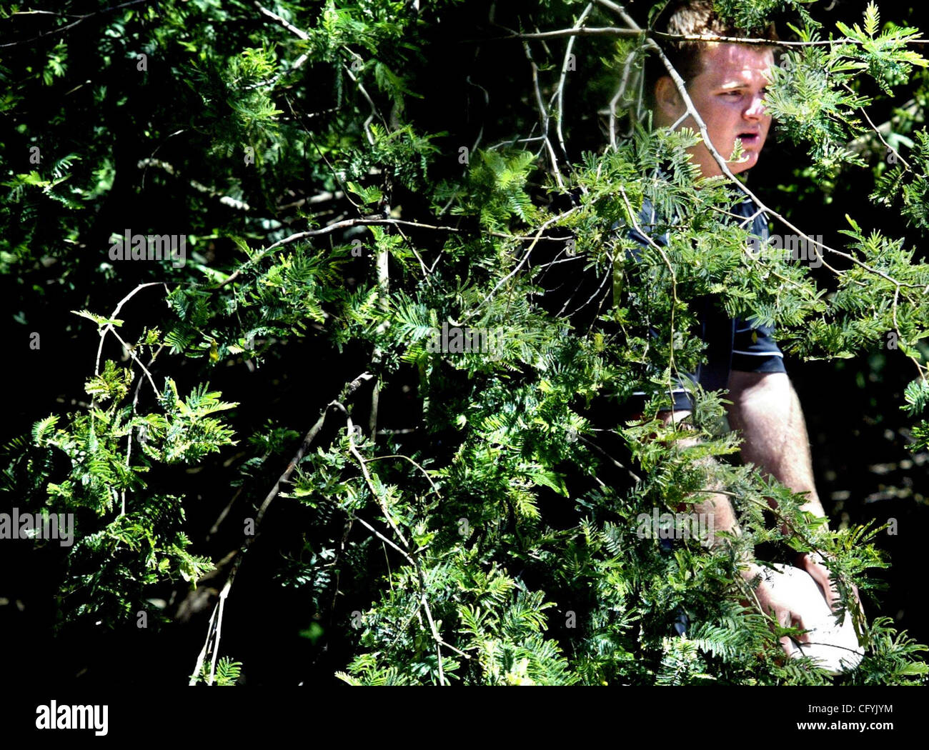 New meaning hi-res stock photography and images - Alamy
