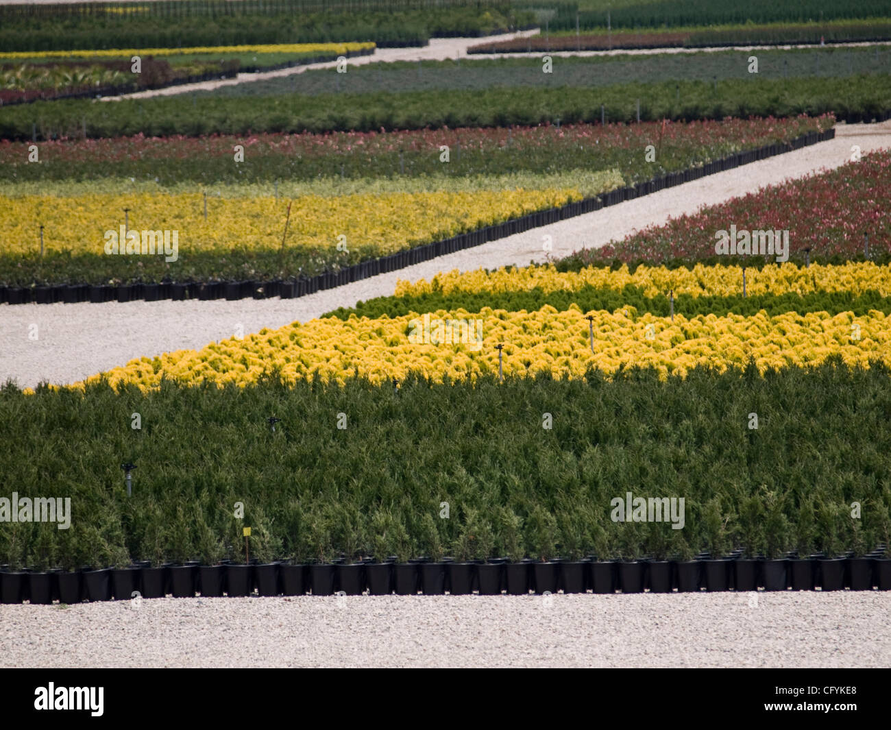 Camarillo, California 5/27/07 Farm fields in Camarillo, California ...
